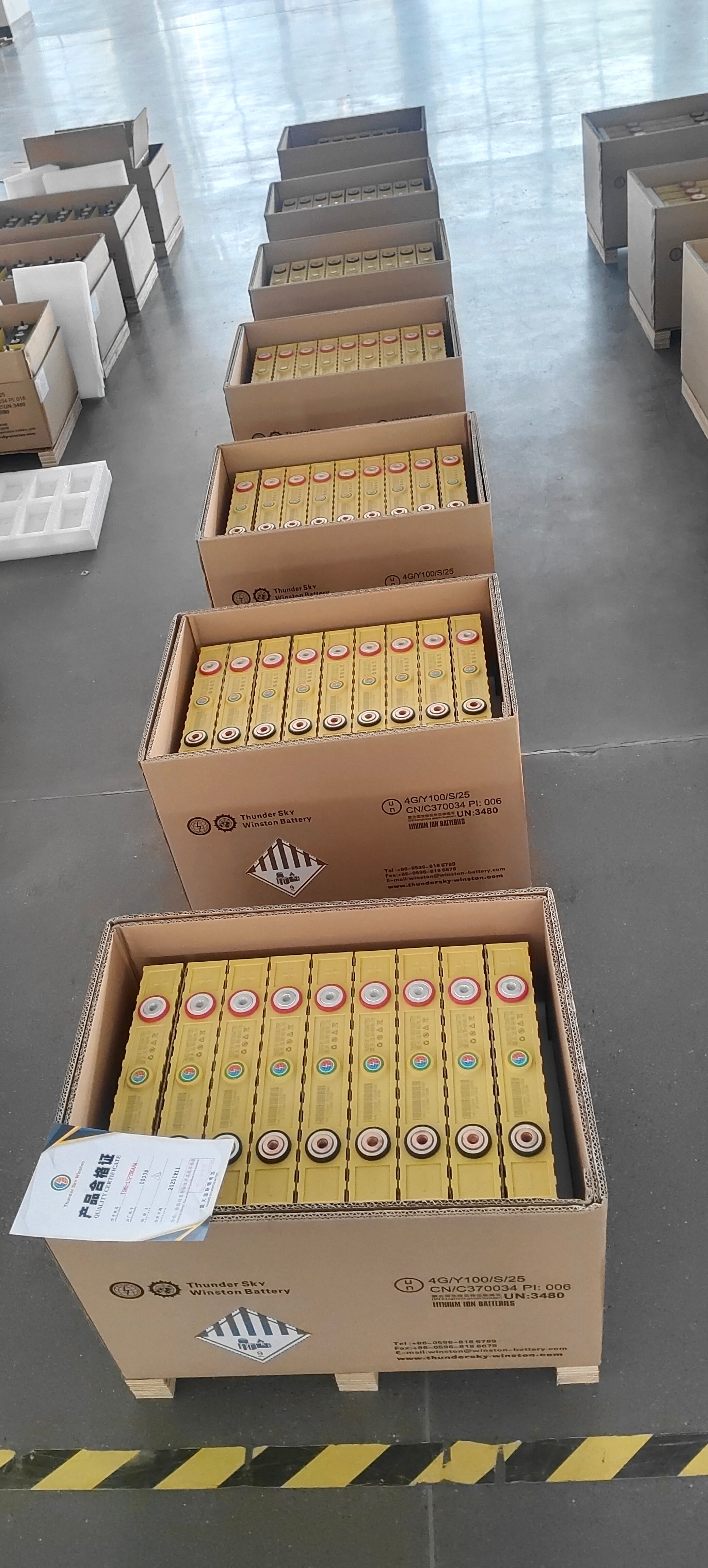 Thunder Sky Winston LiFePO4 Batteries: The Backbone of Large-Scale Ene ...